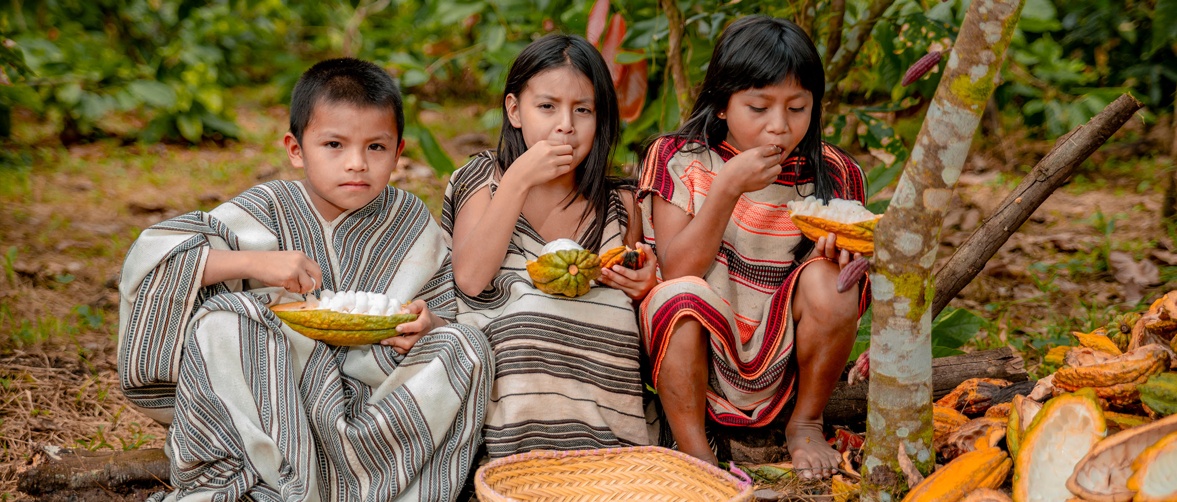 Municipalidad Distrital de Megantoni